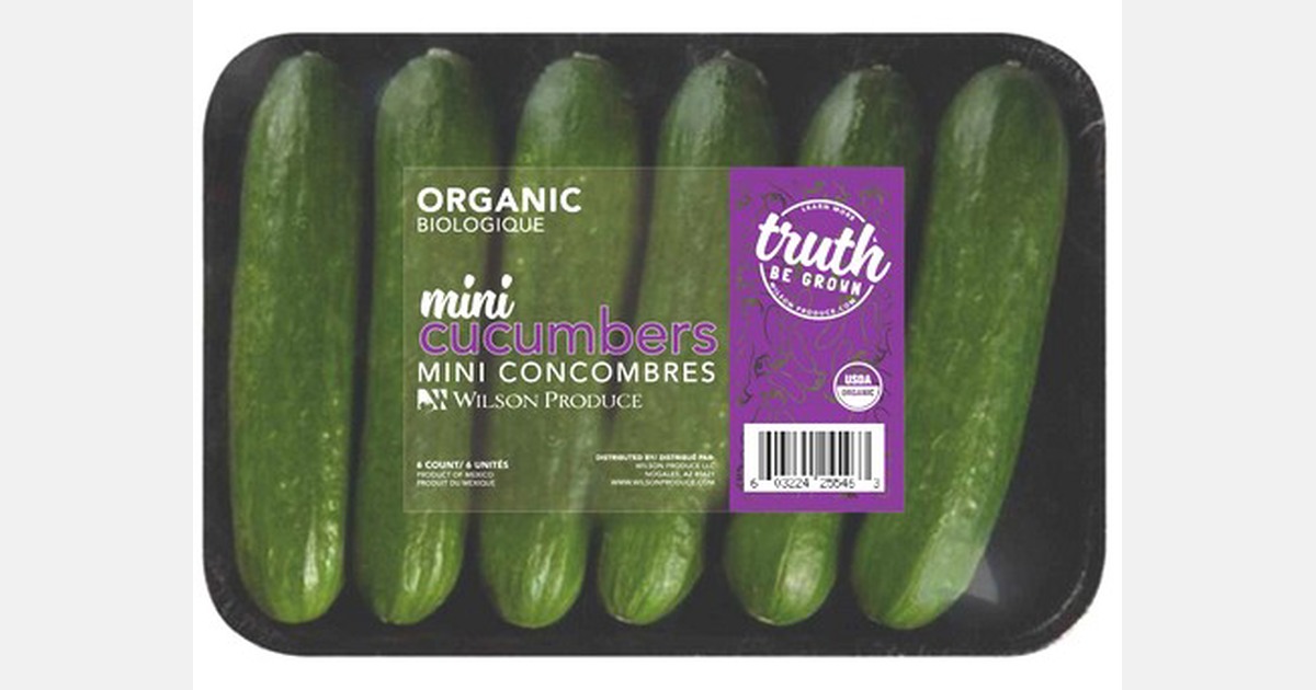 Launch of year-round organic mini cucumber program