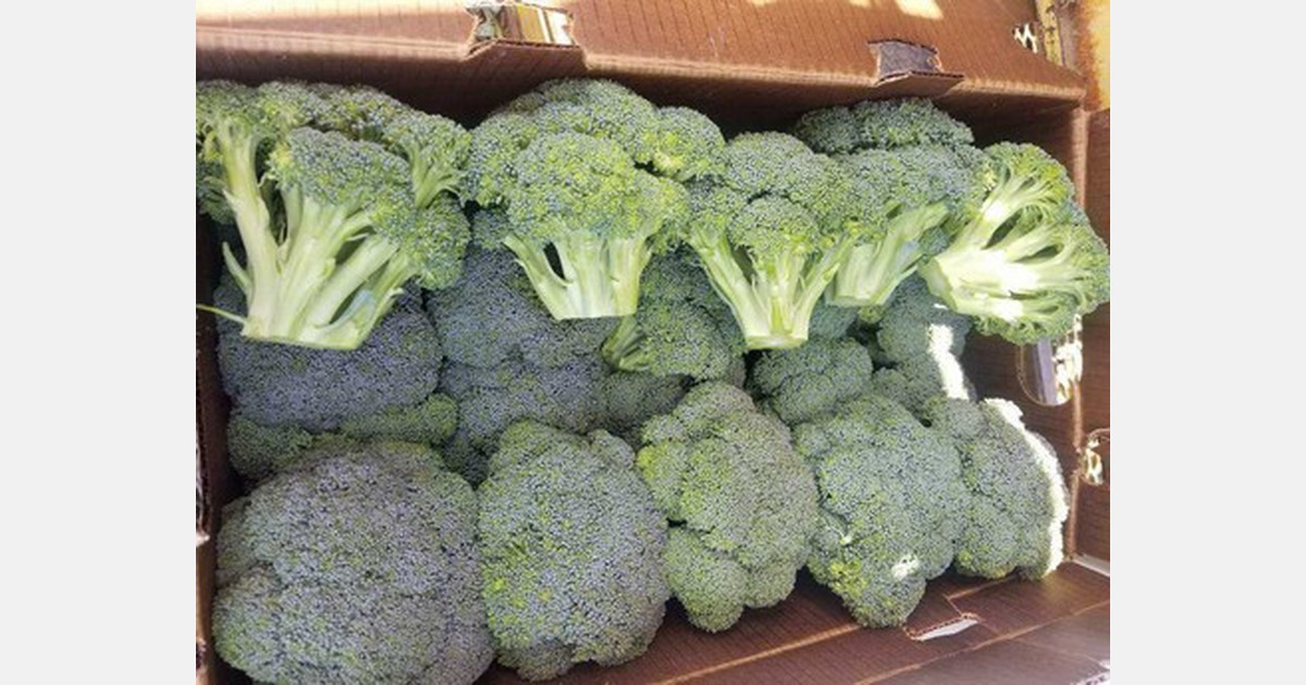North America: Local broccoli deals delayed