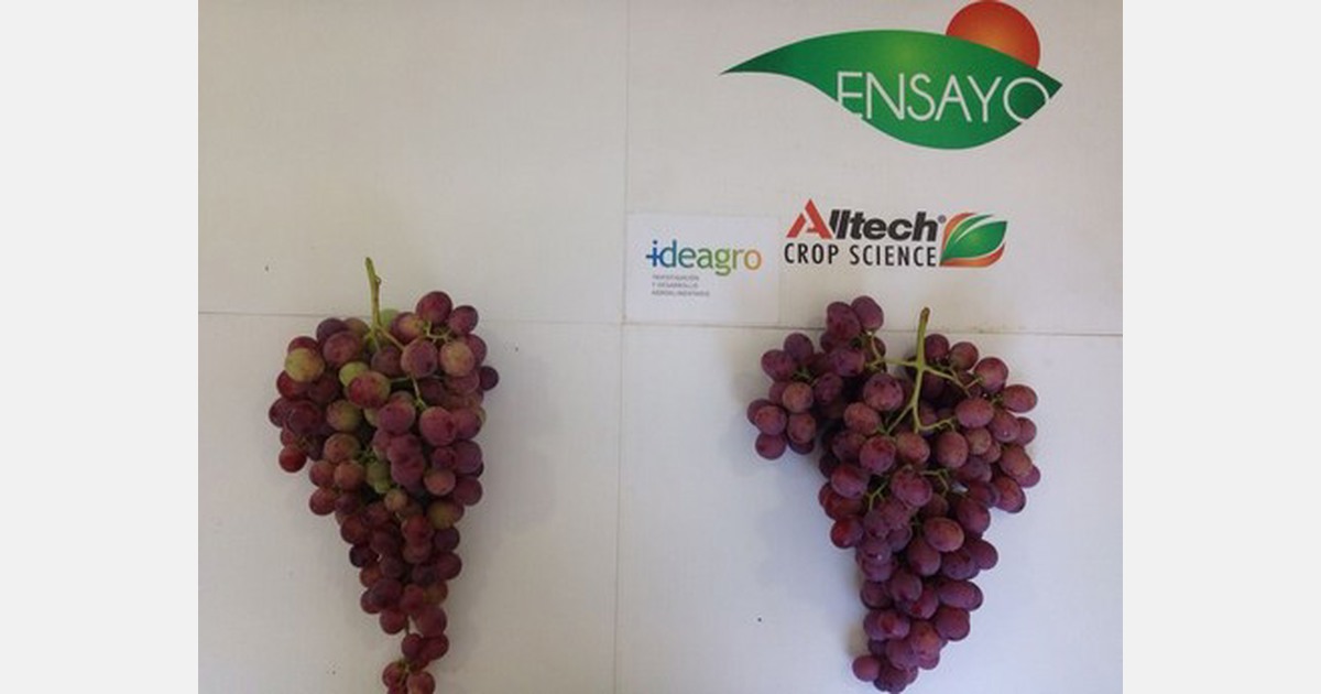 Using nutrigenomics studies to understand and unlock plant’s own ...