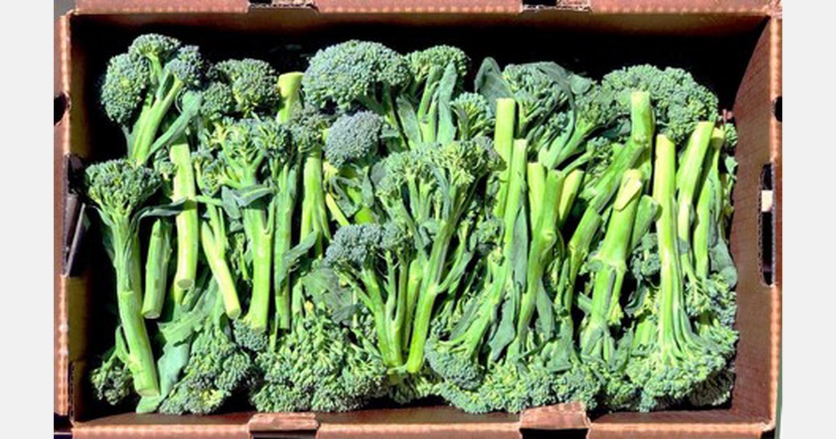 Three new items for Church Brothers Farms