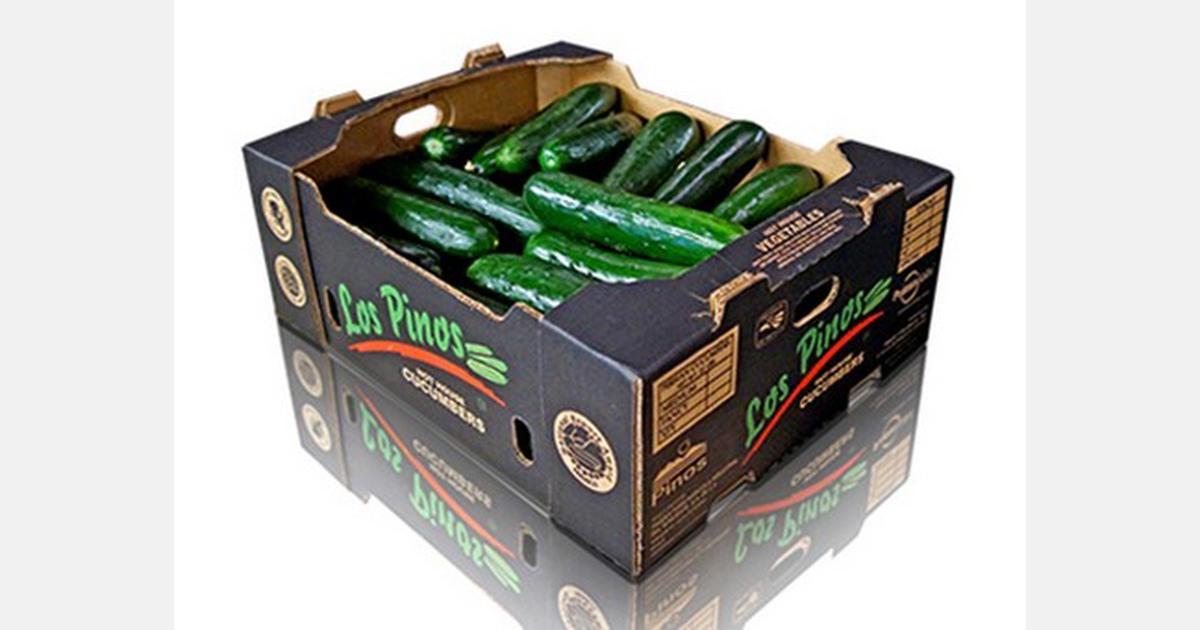 Cucumber market expected to remain strong until fall