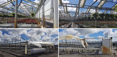 Video: Greenhouse hit by a tropical storm