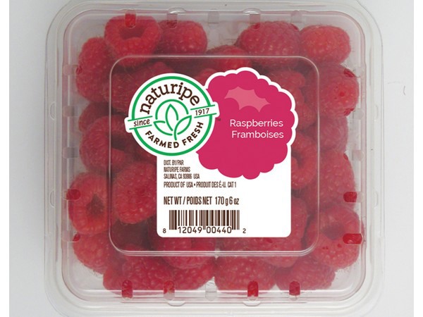 New jumbo raspberry variety launched