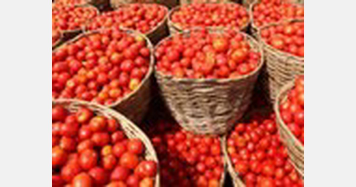 Iran: Duties for tomato exports as of December 22