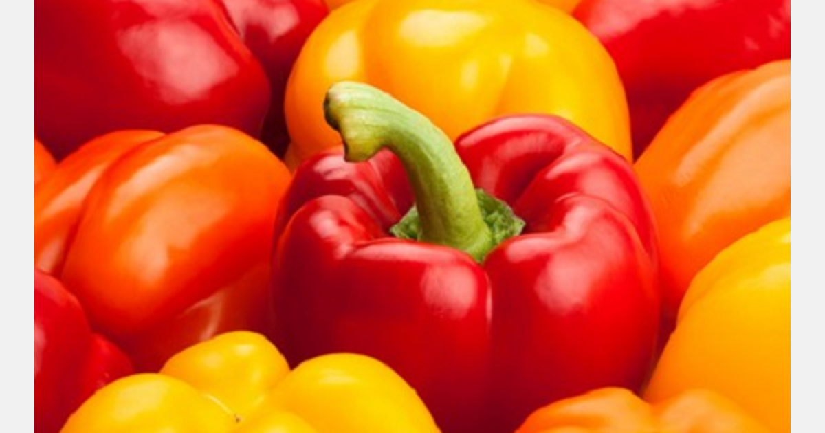 US: Pepper imports from Spain prohibited