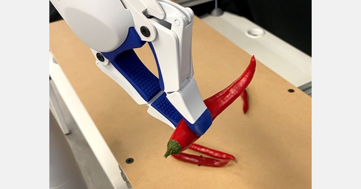 New fresh produce packing robotics set to enter the trial phase