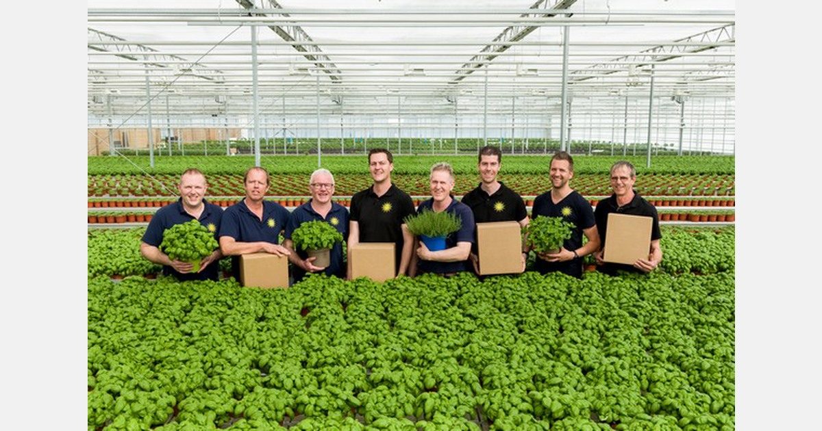 More room for robust, tasty herbs