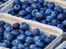 New compound from blueberries could treat inflammatory disorders