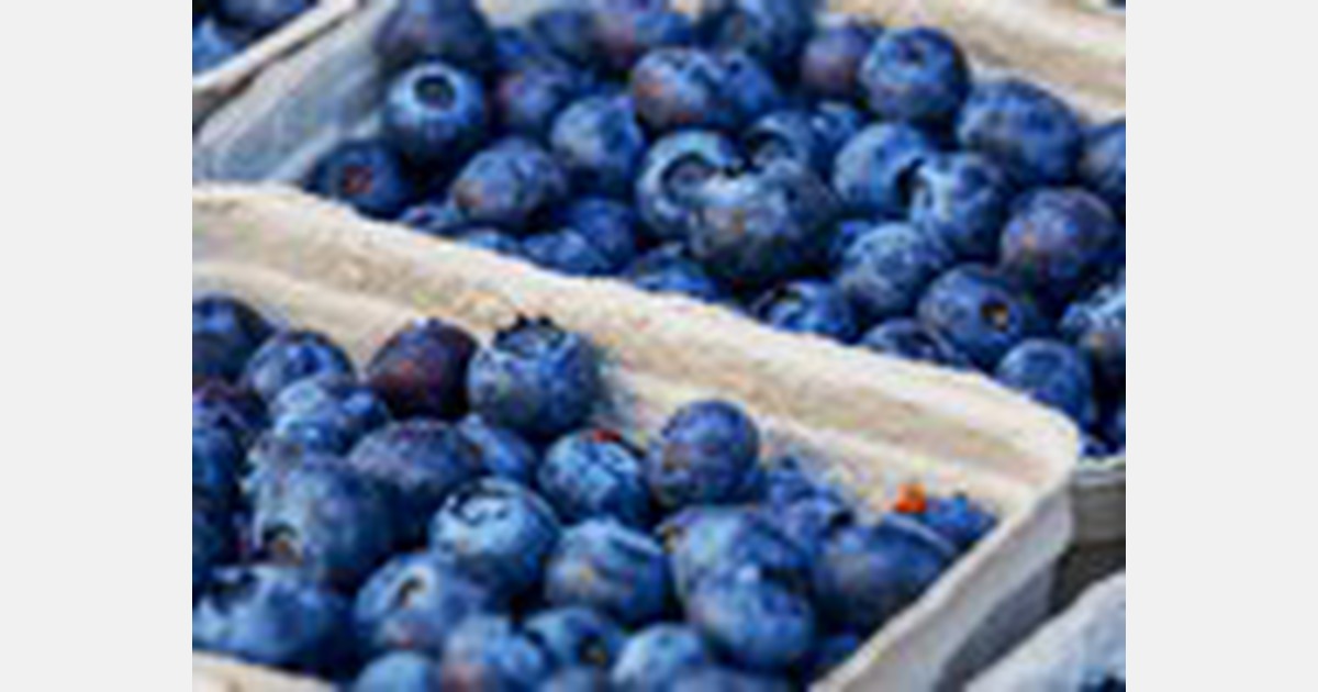 New compound from blueberries could treat inflammatory disorders