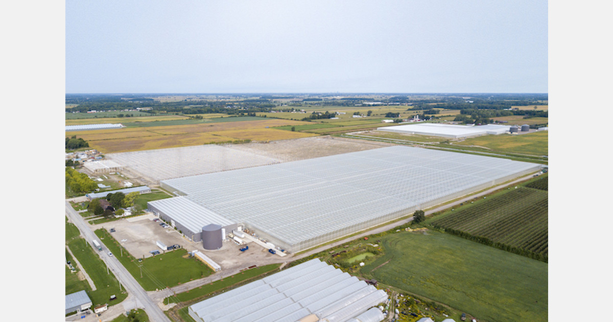 Mucci Farms announces 200 acre North American expansion