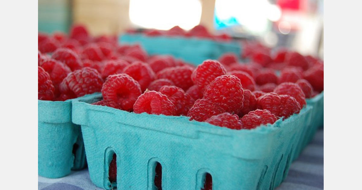 Changes in structure of raspberry producers in Poland
