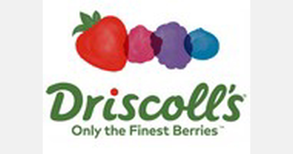 Driscoll's and Global farms partner to grow raspberries in UAE