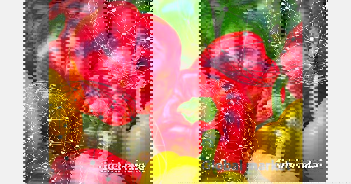 Global overview: bell pepper market