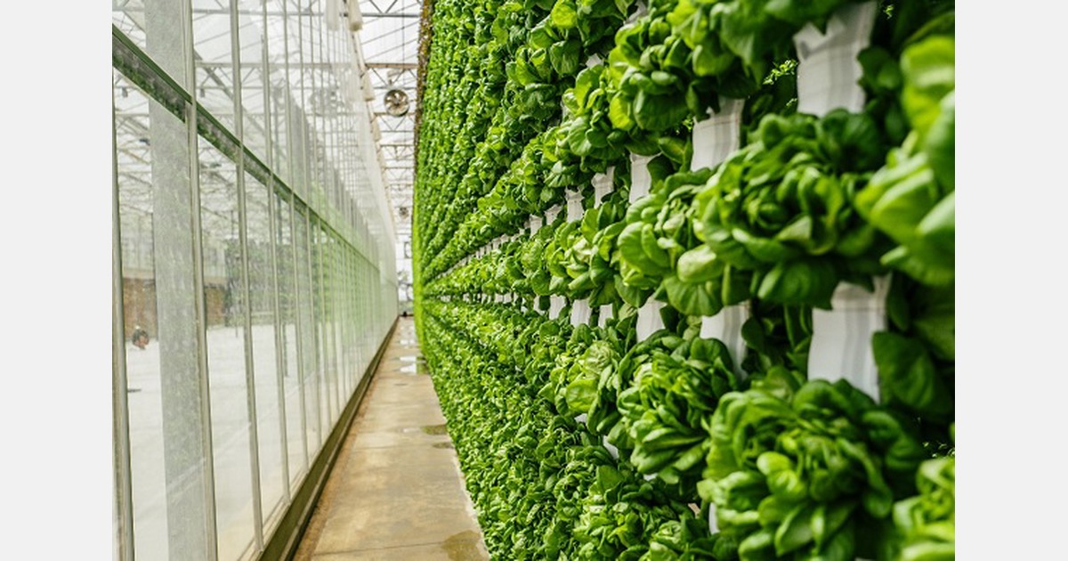 Growing columns regulate temperature inside innovative South African ...