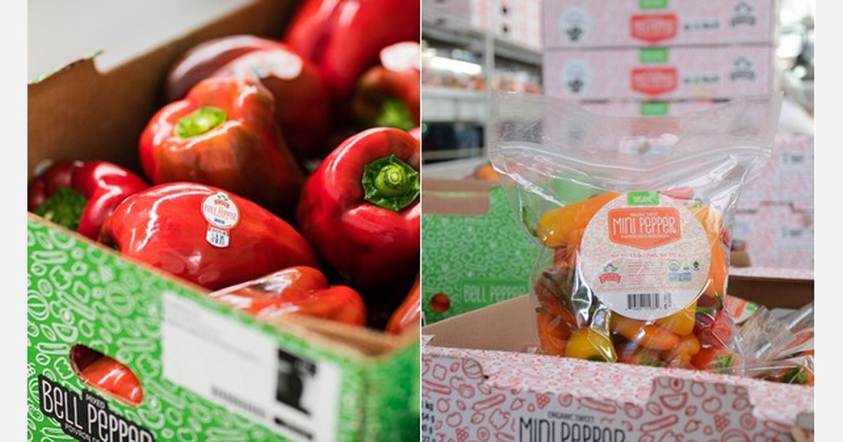 Mexican bell pepper production increasing