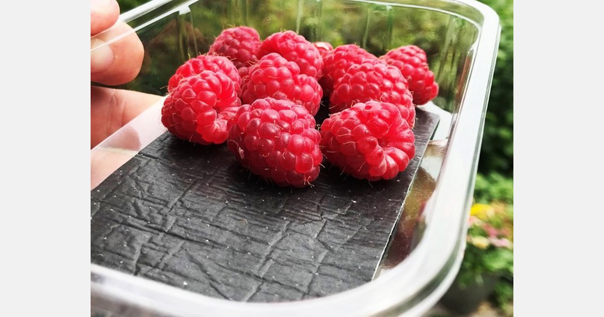 EarthPad fruit pad approved for recycling