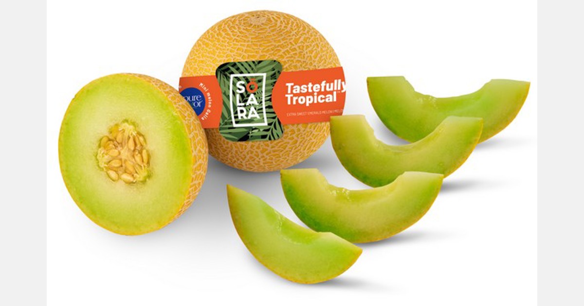 Launching North America's first commercially grown greenhouse melon