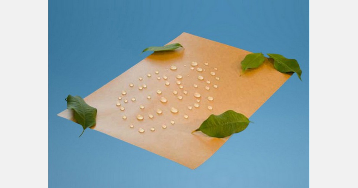 Water-resistant paper brings plastic alternative