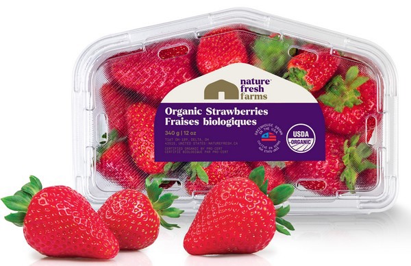 Canadian grower plans 45-acre organic strawberry expansion