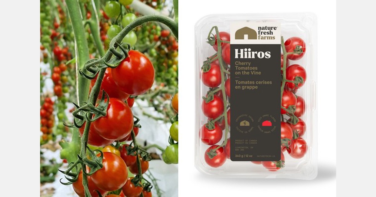 “This unique tomato variety is a diamond in the rough”