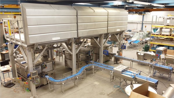 Developing sustainable packaging for CEA-produced leafy greens