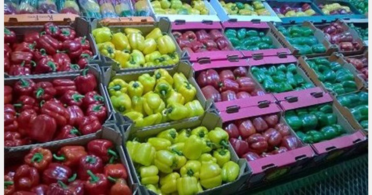Hot sweetpepper market sets the table for very interesting season next year
