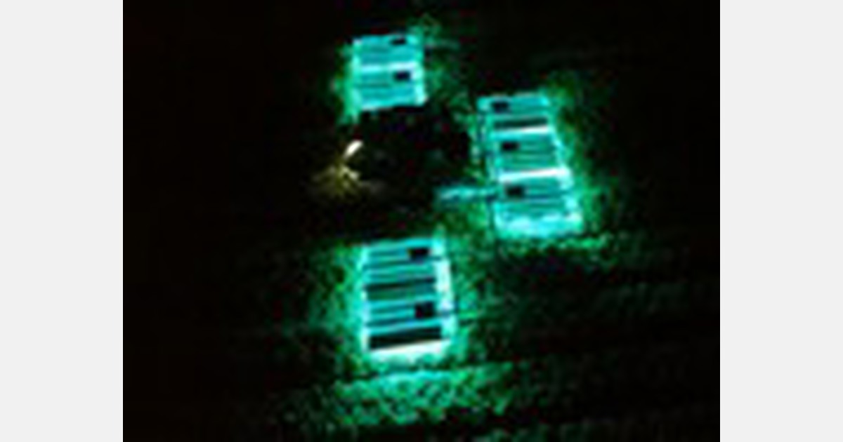 TRIC Robotics hopes to impact strawberry cultivation in California and ...