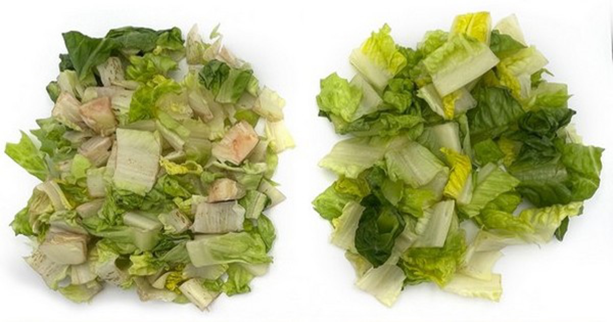 Food freshly aims to put pause on salad browning