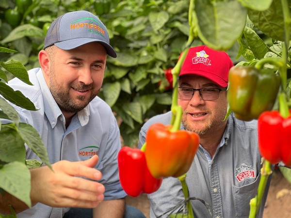 "There’s something special about Sinaloan farms"