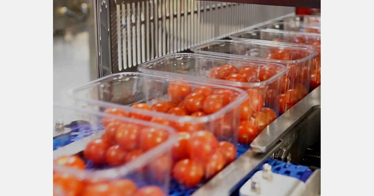 Proseal marks a 25-year milestone