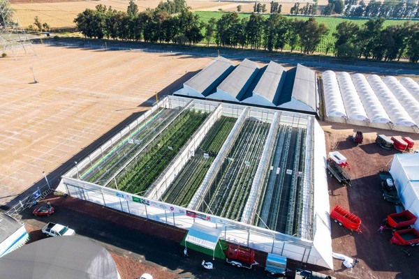 Results of retractable cooling roof trials with strawberries in Mexico