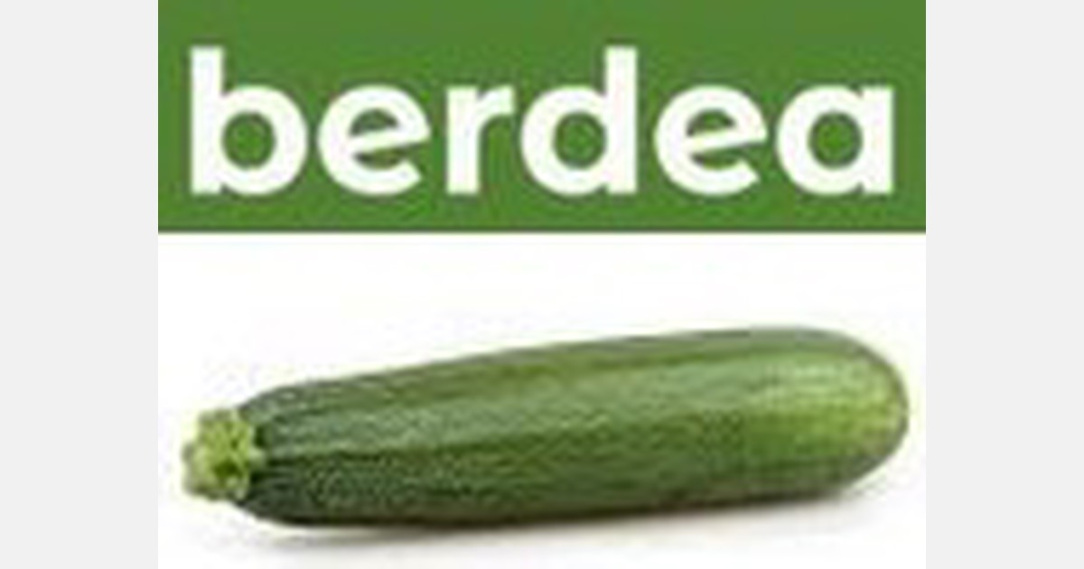 Berdea SAT becomes largest specialised courgette producer in Almería