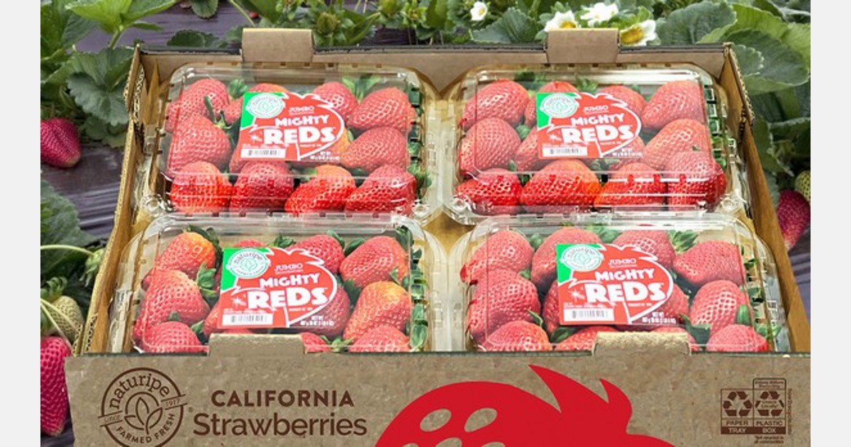 New jumbo strawberry brand launched
