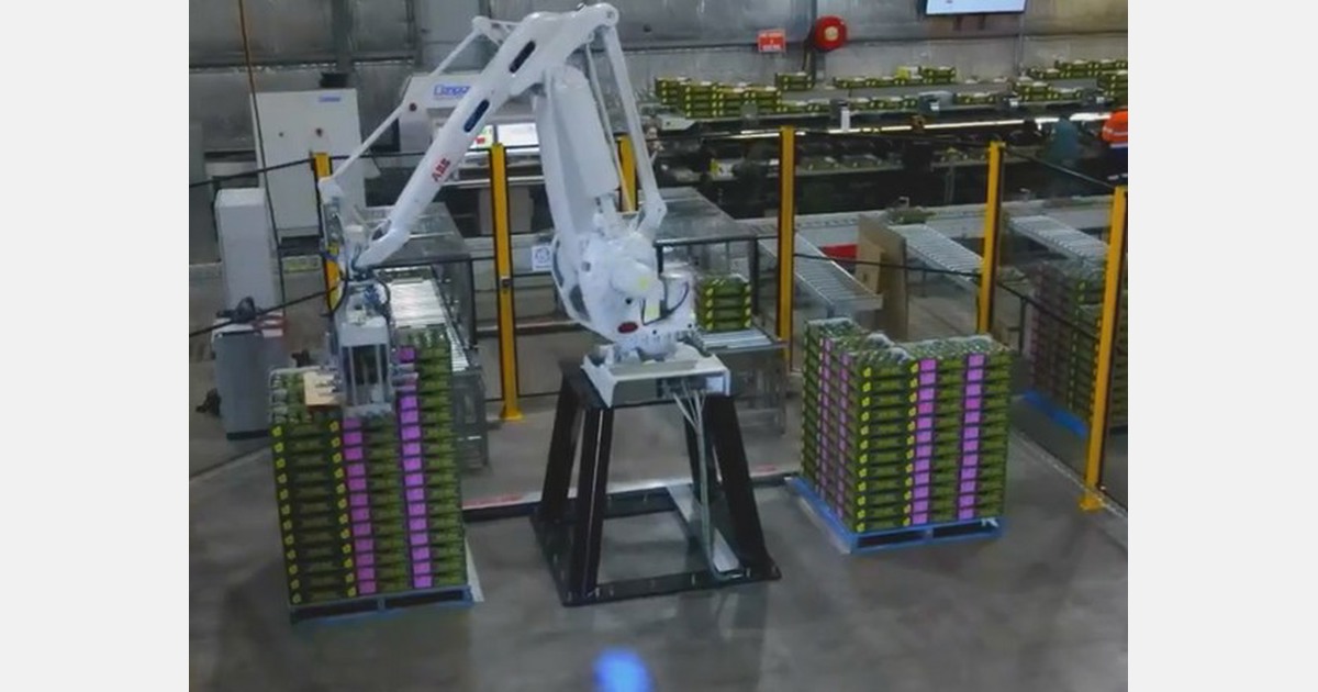 "The system accurately and consistently places interlocking trays on a ...