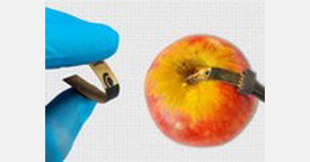 University of São Paulo develops sensor that can detect traces of ...