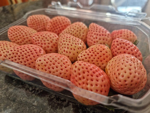 South African strawberry aficionados in for a Woolworths treat