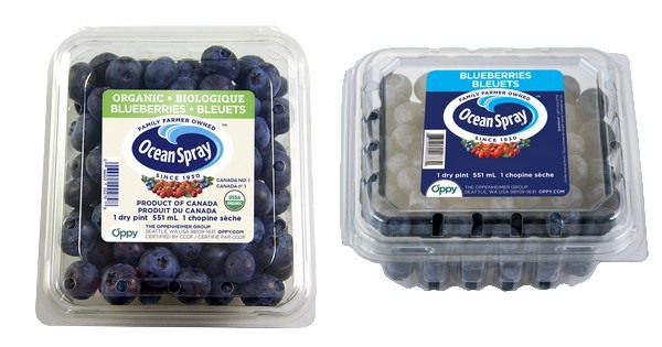North Carolina production helps keep blueberry volumes steady