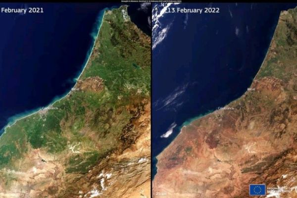 "Climate change is the new reality for Moroccan agriculture"