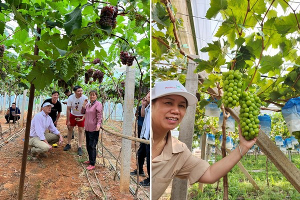 The amount of fresh produce grown in China is mind-blowing