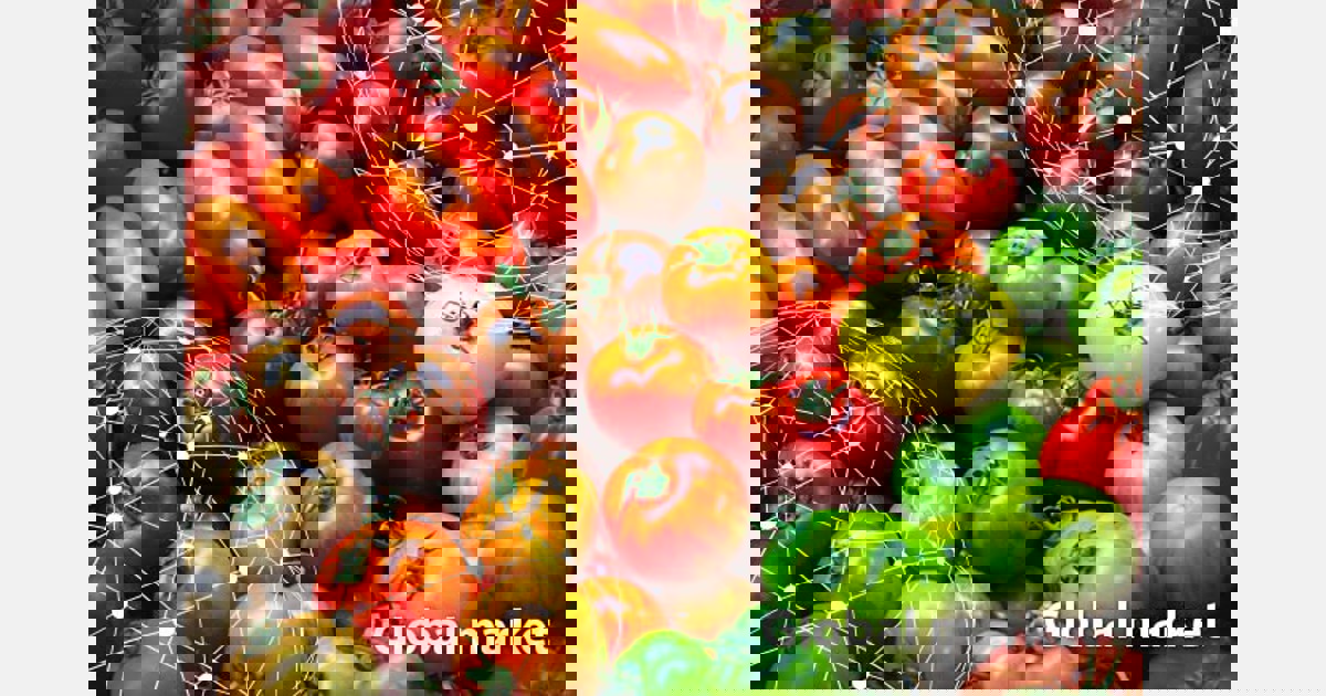 Multitude of challenges and opportunities in tomato market