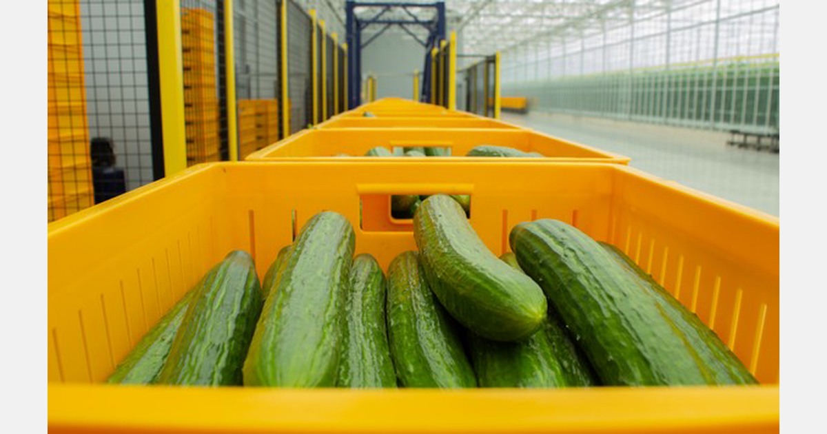 "A great opportunity to showcase organic produce"