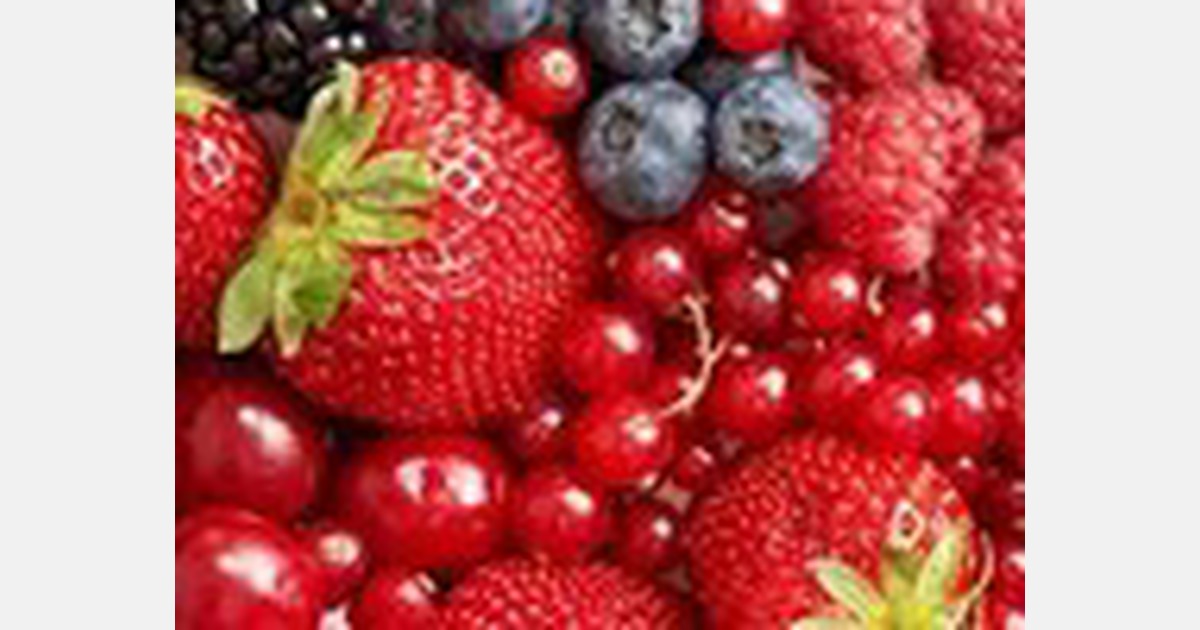 Fourth Red Fruit Festival will be held in Kénitra, Morocco