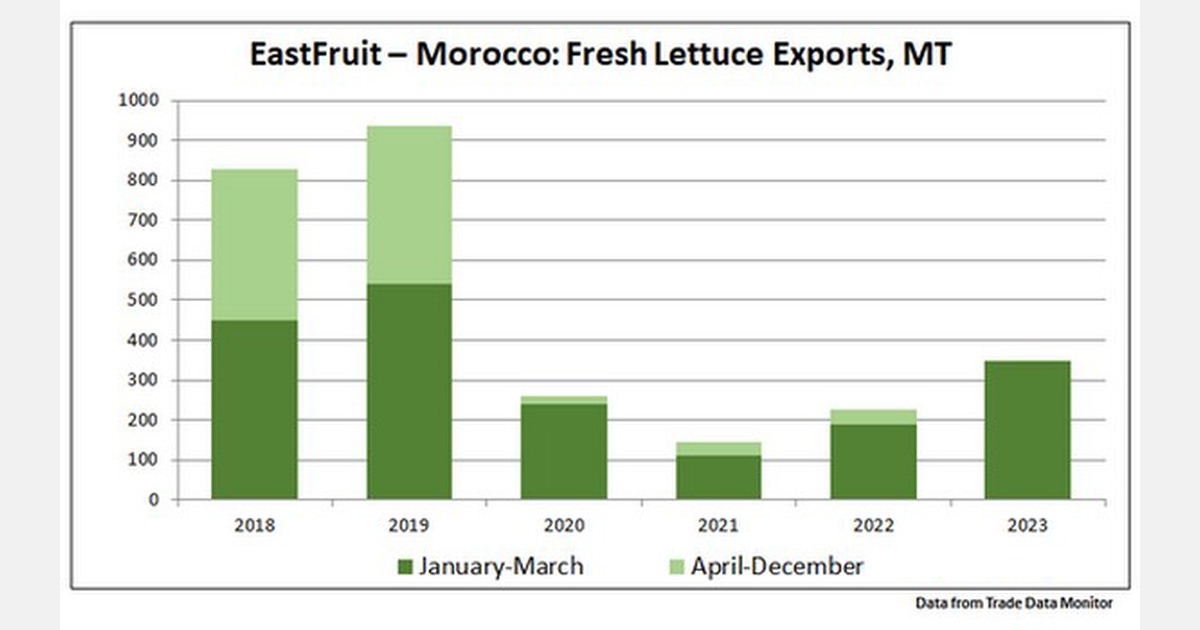 Moroccan lettuce exports to France reach record high in Q1 2023