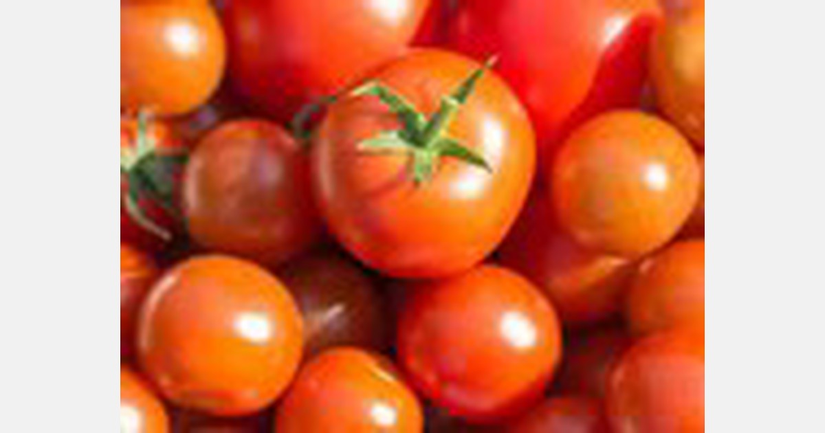 Nepalese growers angry as they are not getting ‘reasonable prices’ for ...