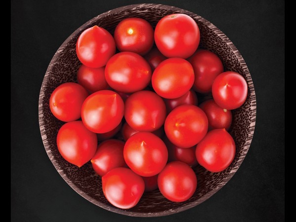Snacking tomato category continues to grow