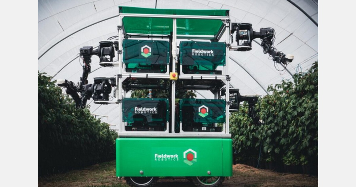 Raspberry-picking robot startup gets £1.5 mln in funding