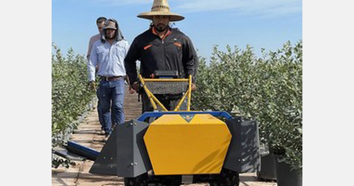 Israeli company introduces new tech as bees struggle to pollinate