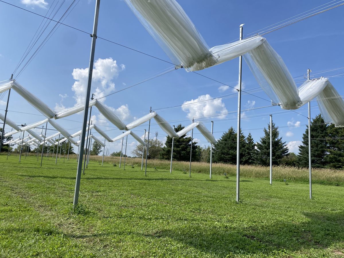 Lower cost automated rain shelter introduced