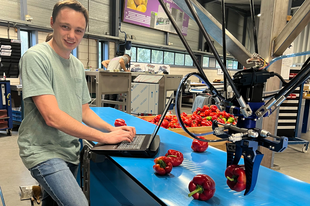 Bell pepper processing line automated using vision technology, robotics ...