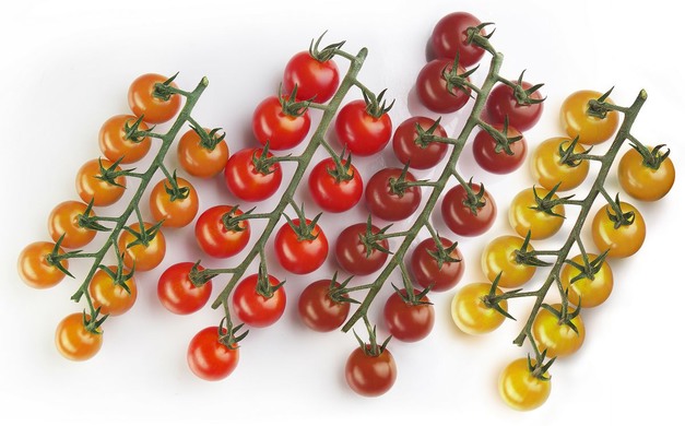 Holidays are a busy time and consumers look for convenience